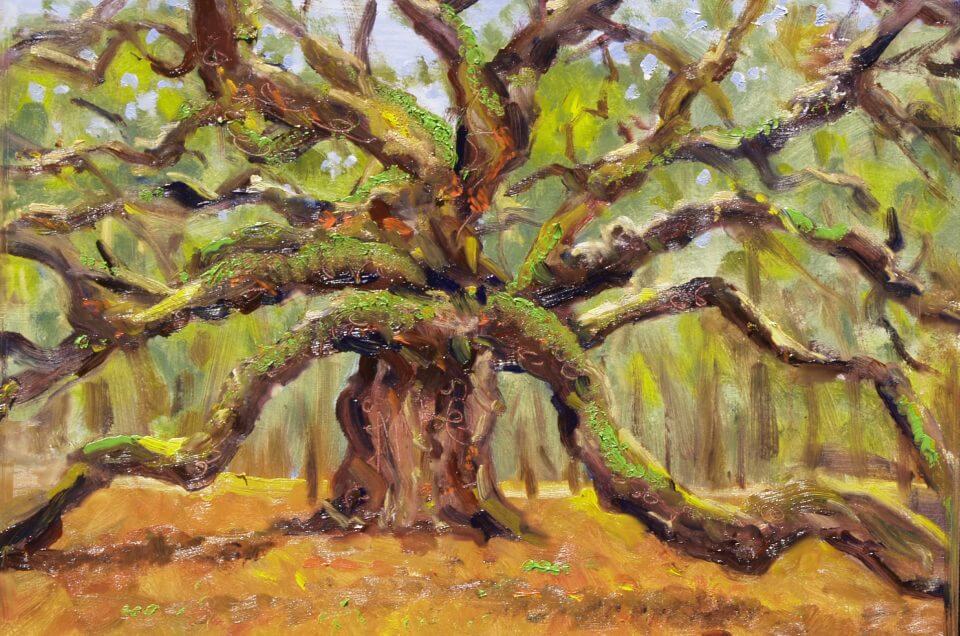 Barbara Pitcher - Maniscalco Gallery