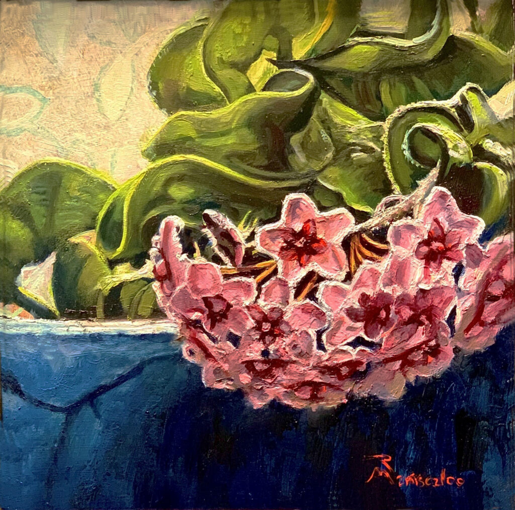 Hoya Rope - Maniscalco Gallery